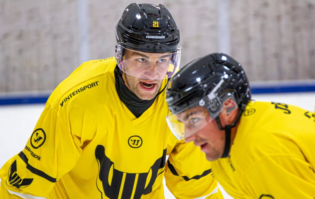 Blogg – VIK FAN CENTRAL